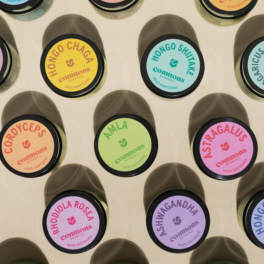 Nosotros – Commons