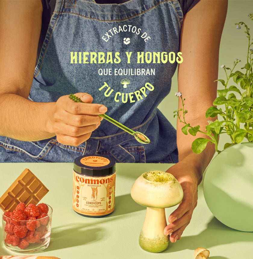 Nosotros – Commons