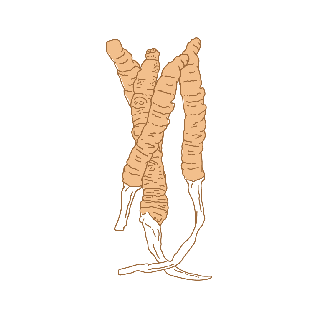 ¿Por qué elegir Commons? – Commons