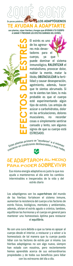 ¿Qué son los adaptógenos? – Commons