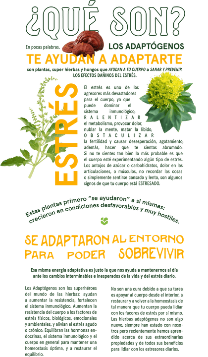 ¿Qué son los adaptógenos? – Commons