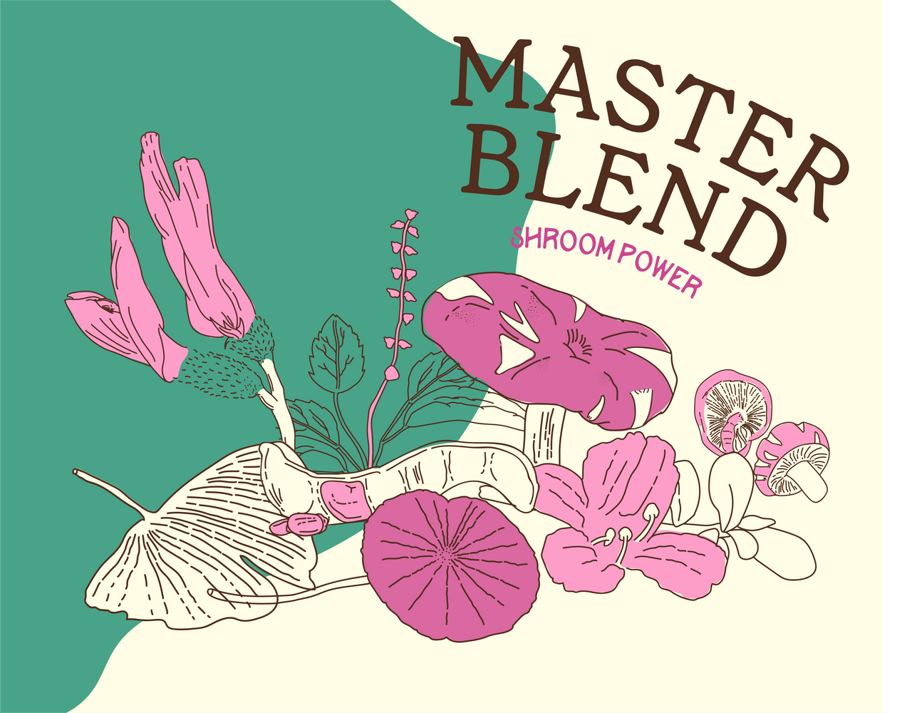 Master blend de adaptogenos 160 cápsulas – Commons